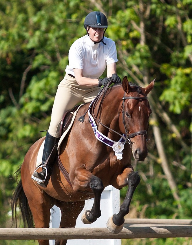 Hunter/Jumpers in the Anderson Equine Arena | SAFE Benefit Horse Show