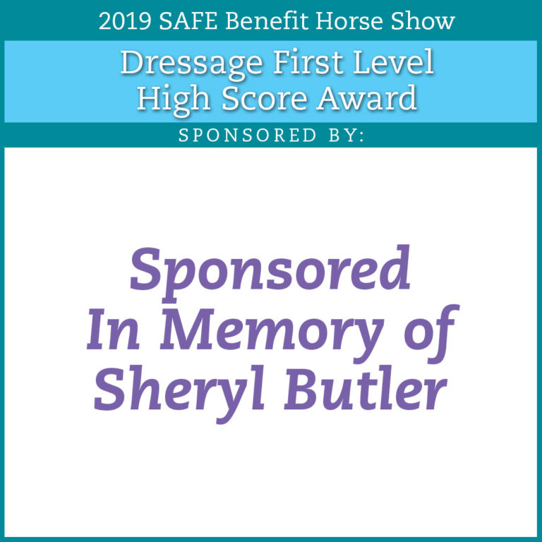 SAFE Benefit Horse Show