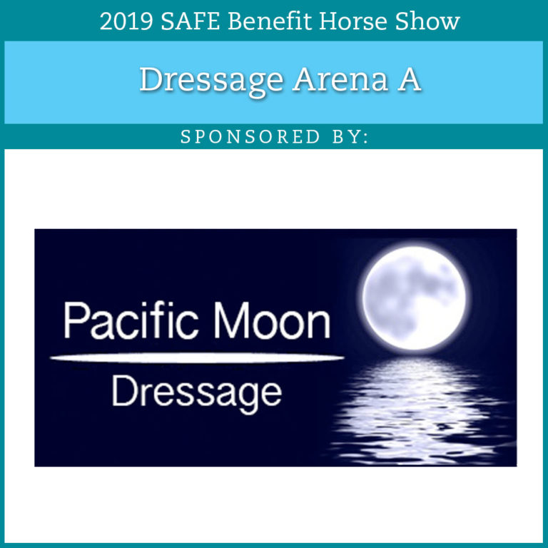 SAFE Benefit Horse Show