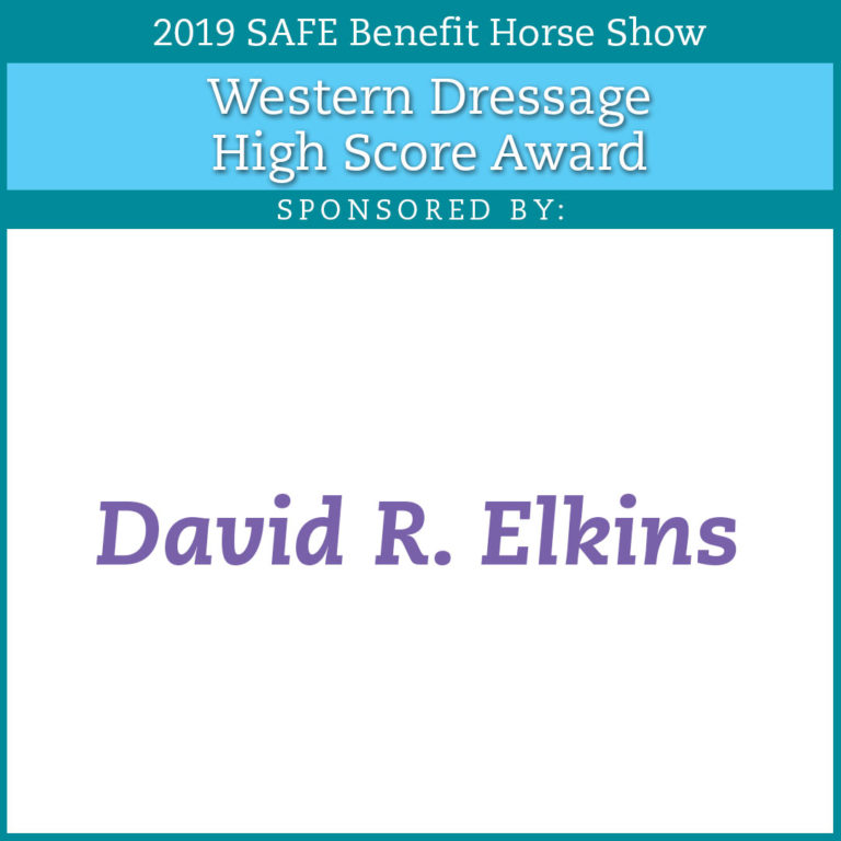 SAFE Benefit Horse Show