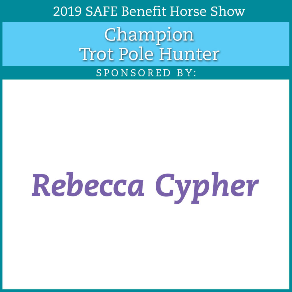 SAFE Benefit Horse Show