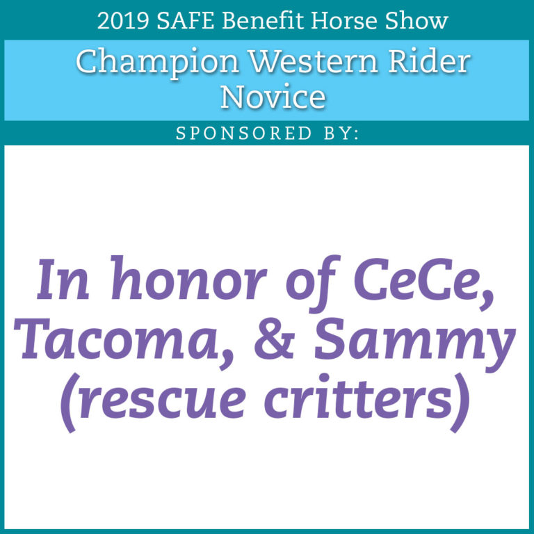 SAFE Benefit Horse Show